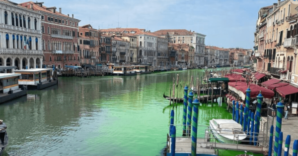 Chiazza verde fosforescente compare sul Canal Grande a Venezia. Burla o ...