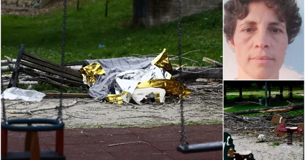 Albero crolla al parco giochi, Francesca Ianni muore davanti ai tre ...